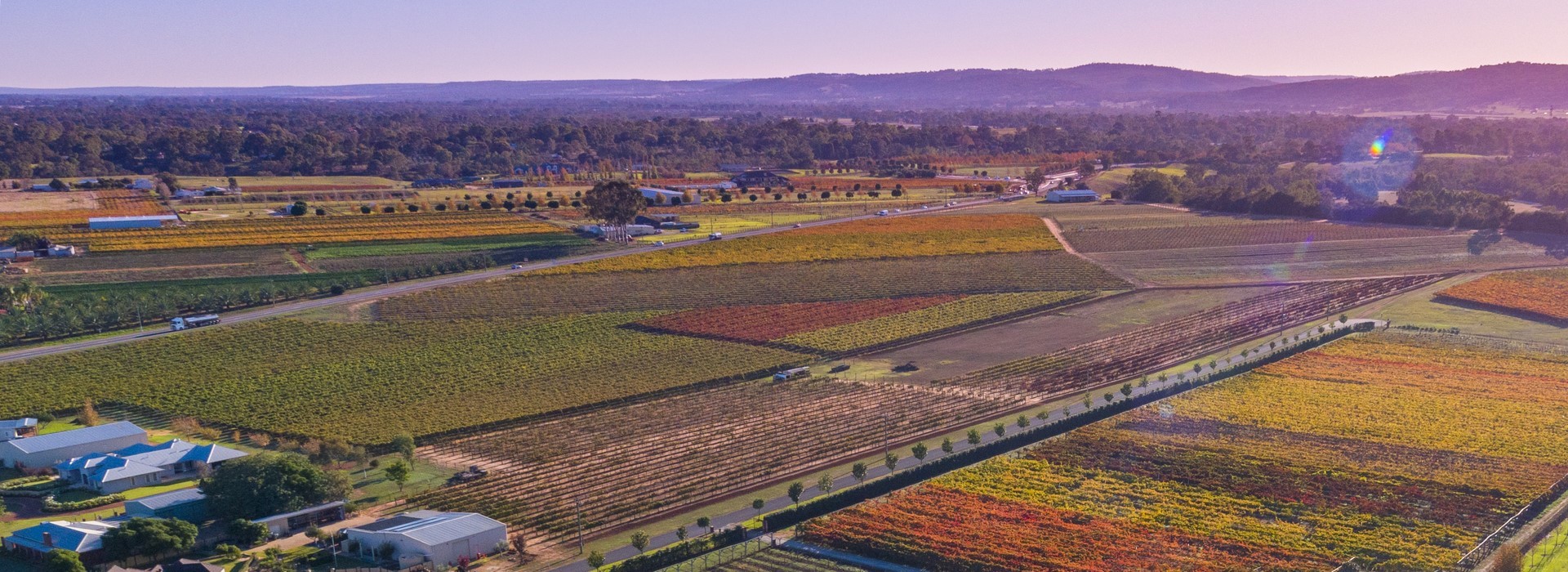 Swan Valley Planning Area | Have Your Say, WA!