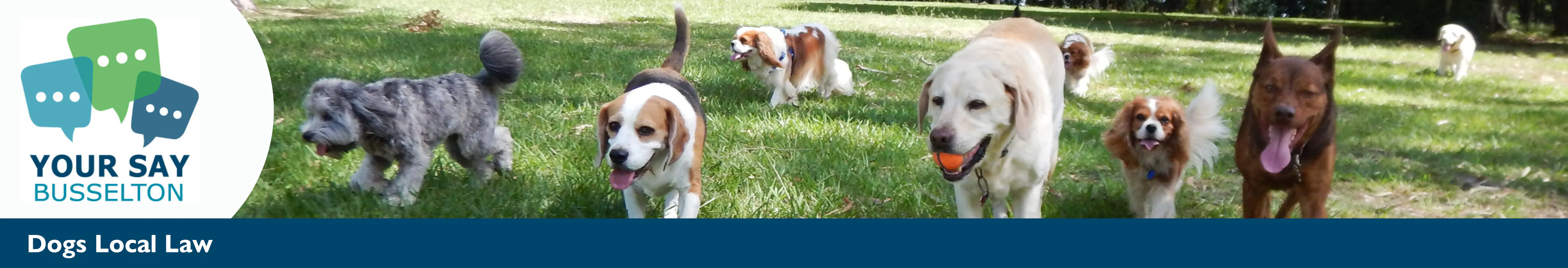 Dogs Local Law | Your Say Busselton