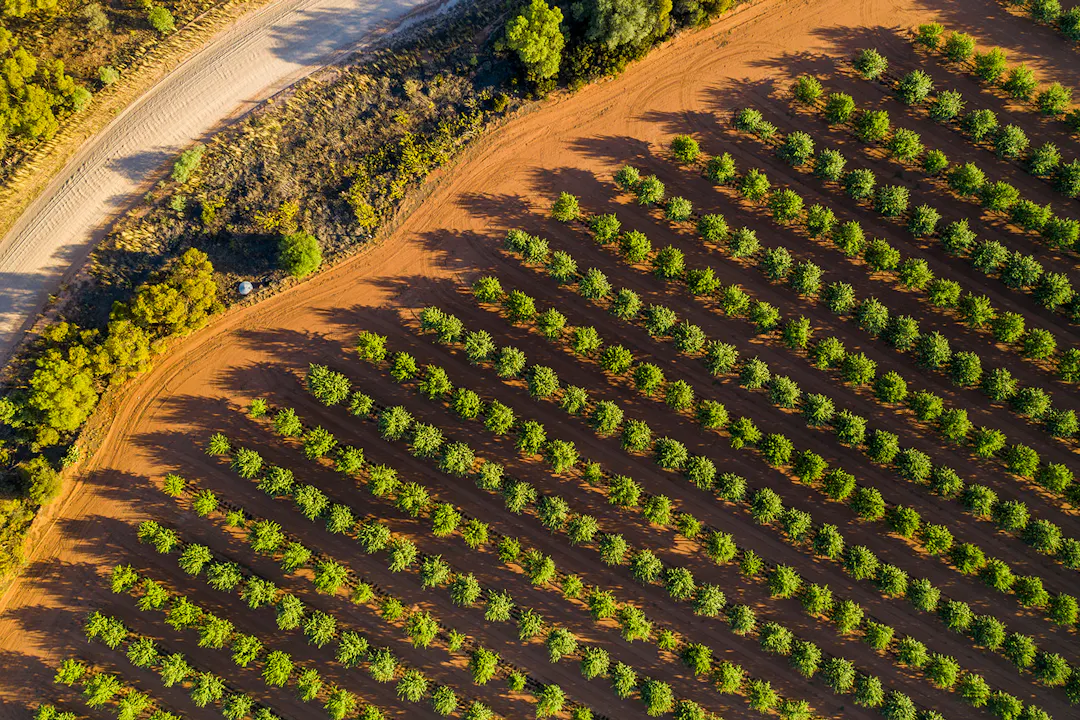 Griffith Economic Development Strategy | Connect Griffith