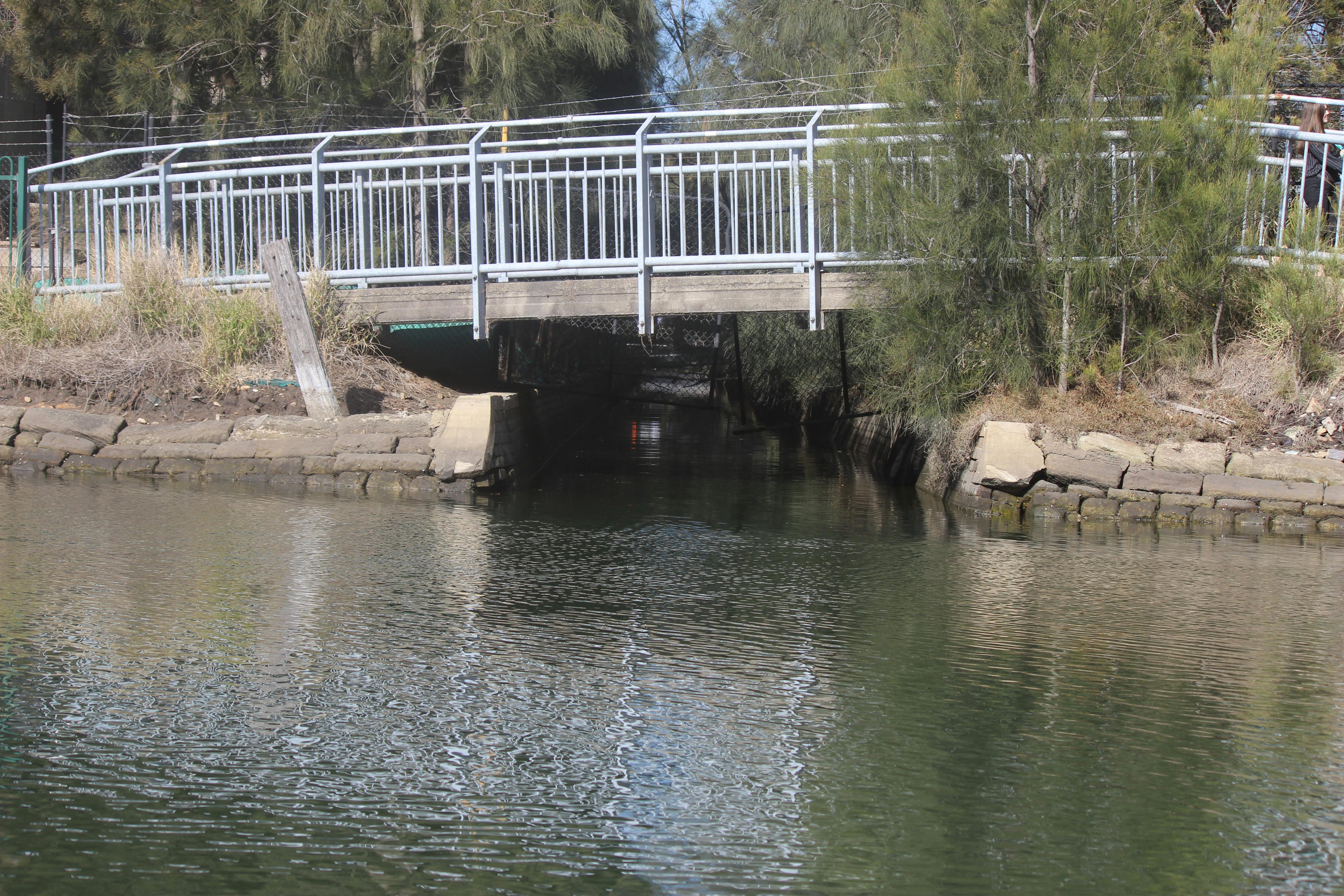 Alexandra Canal Asset Masterplan | Sydney Water Talk