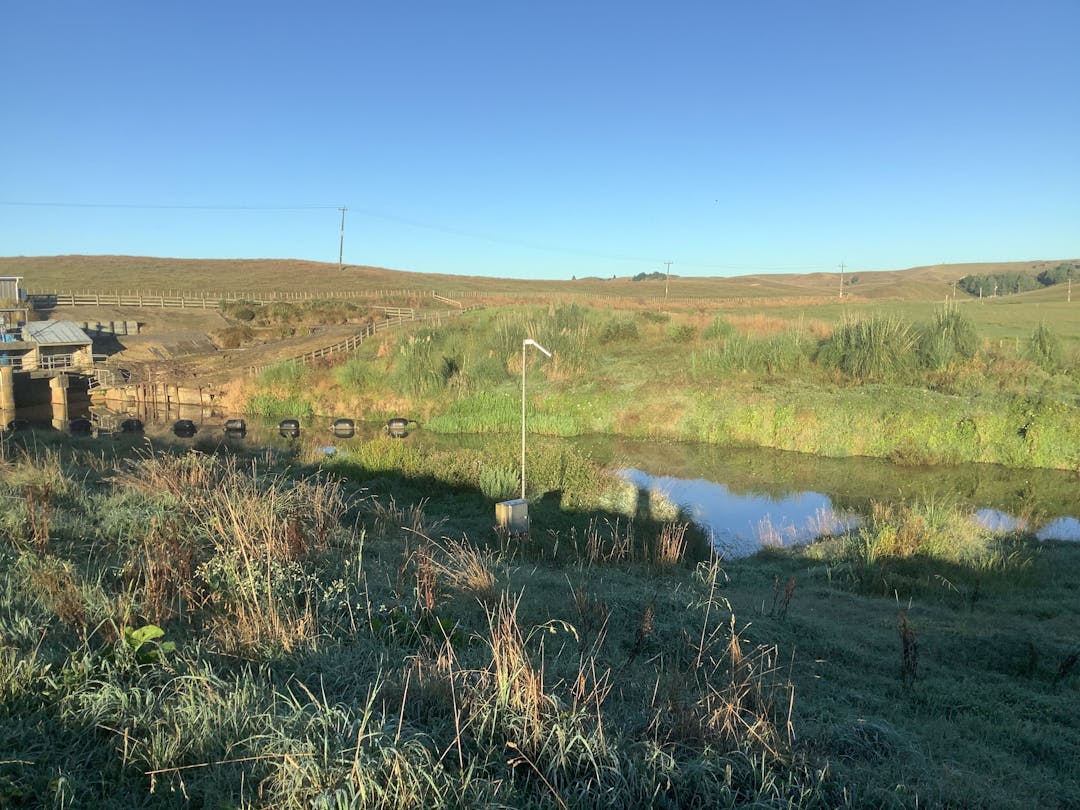 Te toha wai o Motukaraka ki Kopuera, he whiringa ratonga | Motukaraka ...