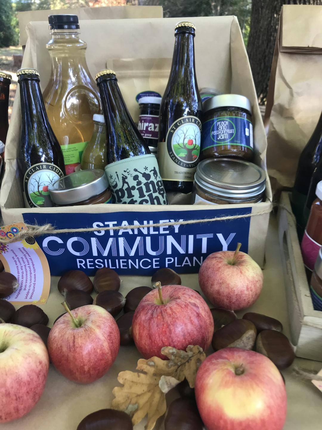 Stanley Community Resilience Plan | Engaged Indigo