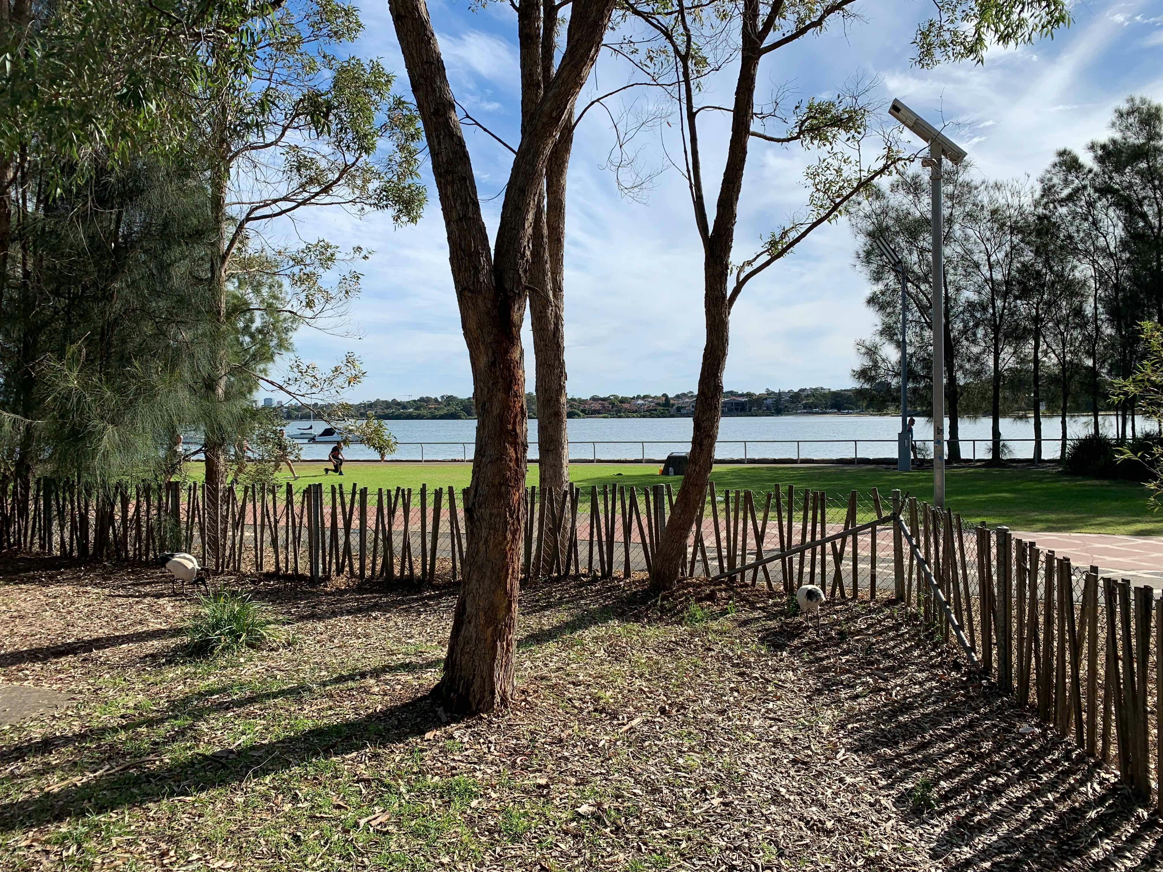 Leichhardt Park Plan of Management | Your Say Inner West