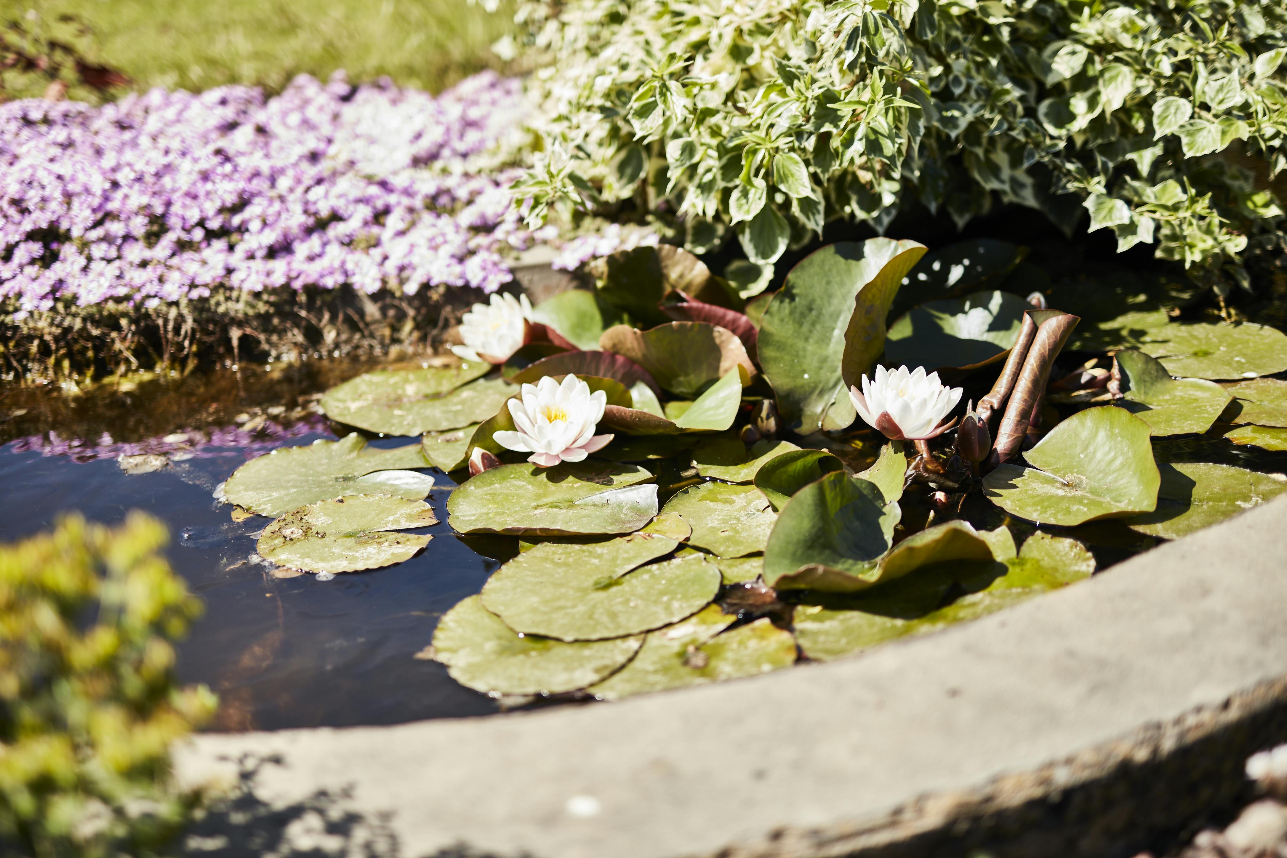 Photos | Altona Memorial Park | Your Say GMCT