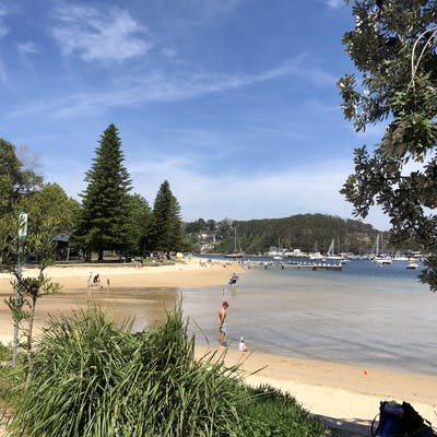 Clontarf Reserve Landscape Masterplan | Your Say Northern Beaches