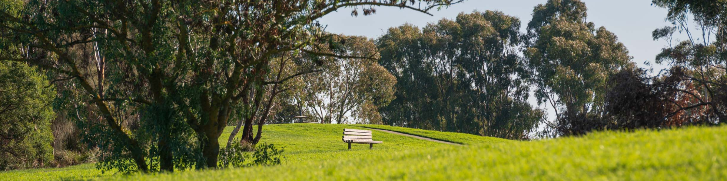 Help us shape Bald Hill Park – Stage 2 | Your Kingston Your Say