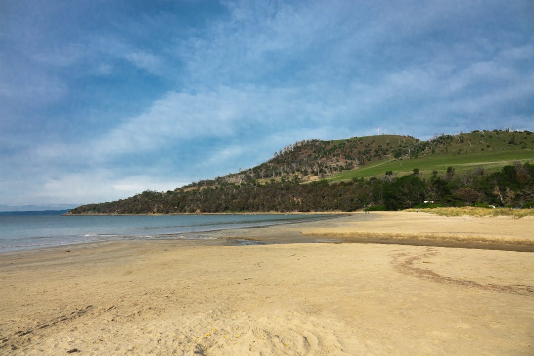 Single Hill Bushland Reserve Activity Plan 2020-2030 | Your Say Clarence