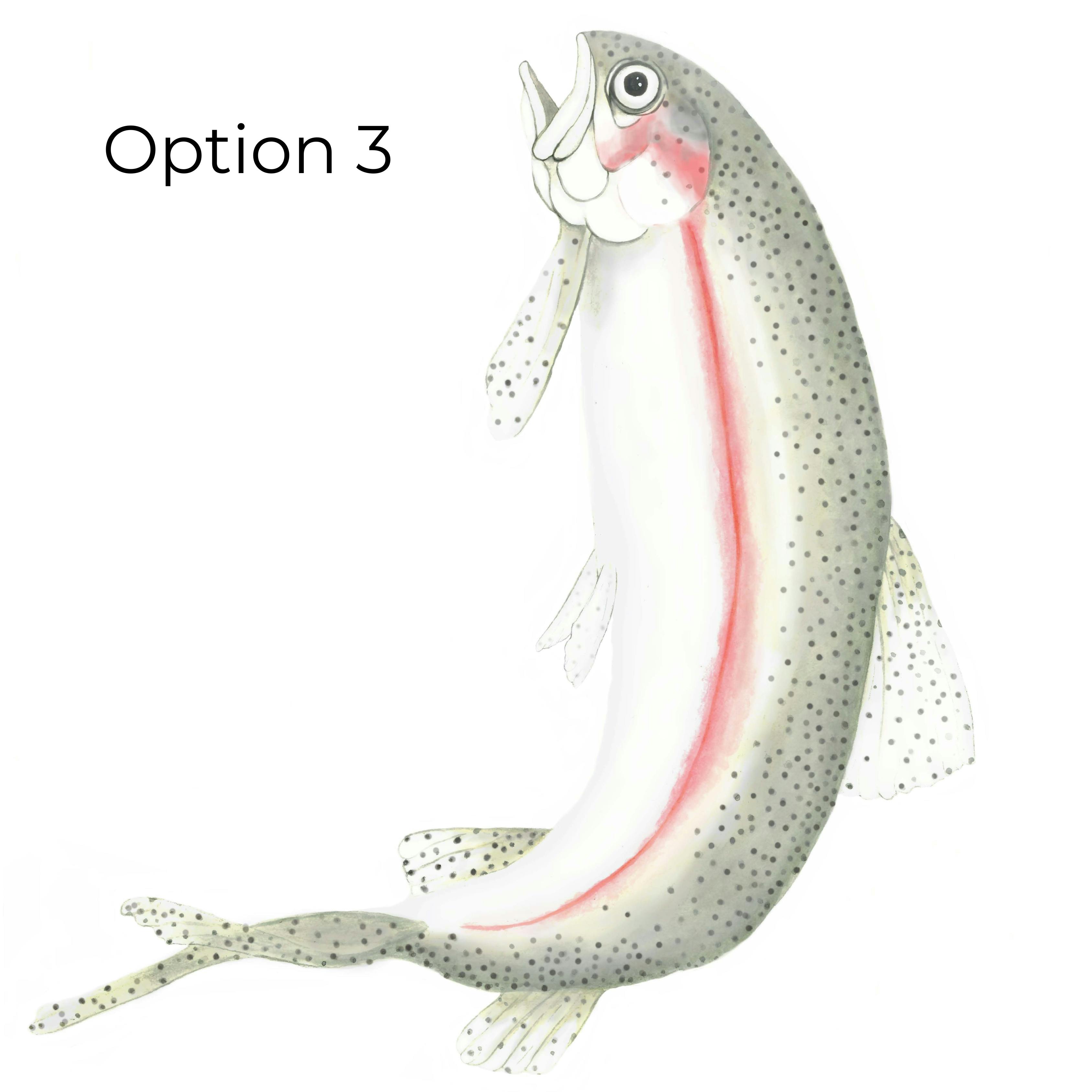 Adaminaby Trout Final Paint Design | Your Say Snowy Monaro