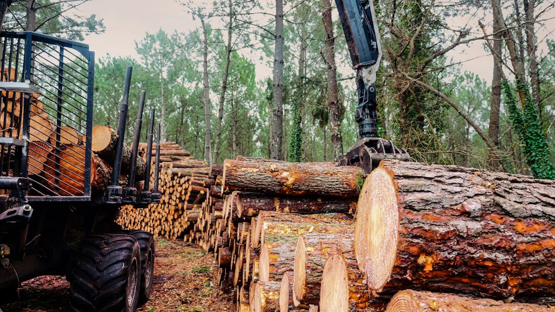 Safety in forest harvesting operations code of practice review | Have ...