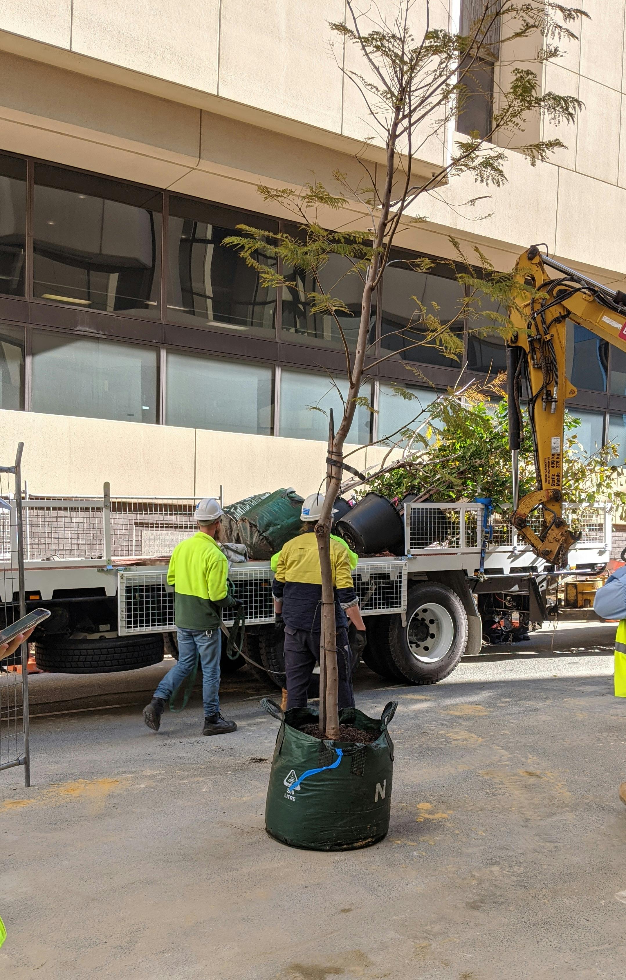 East End Revitalisation Program | Engage Perth