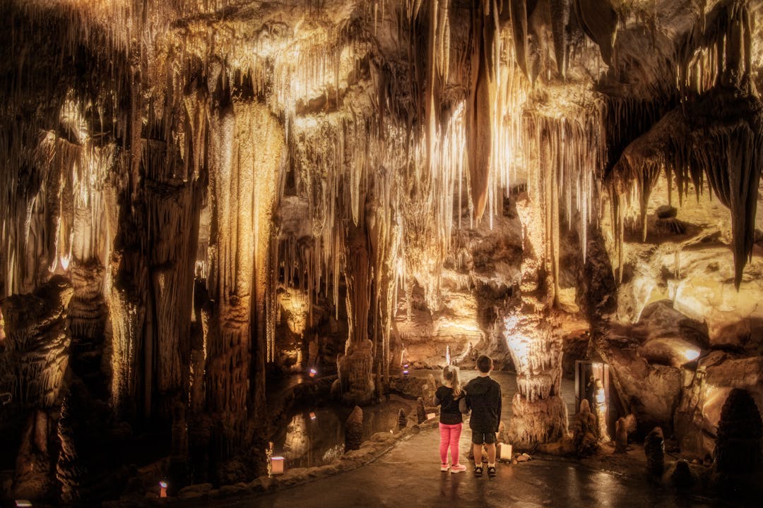 Tantanoola Community Vision | Engage Wattle Range