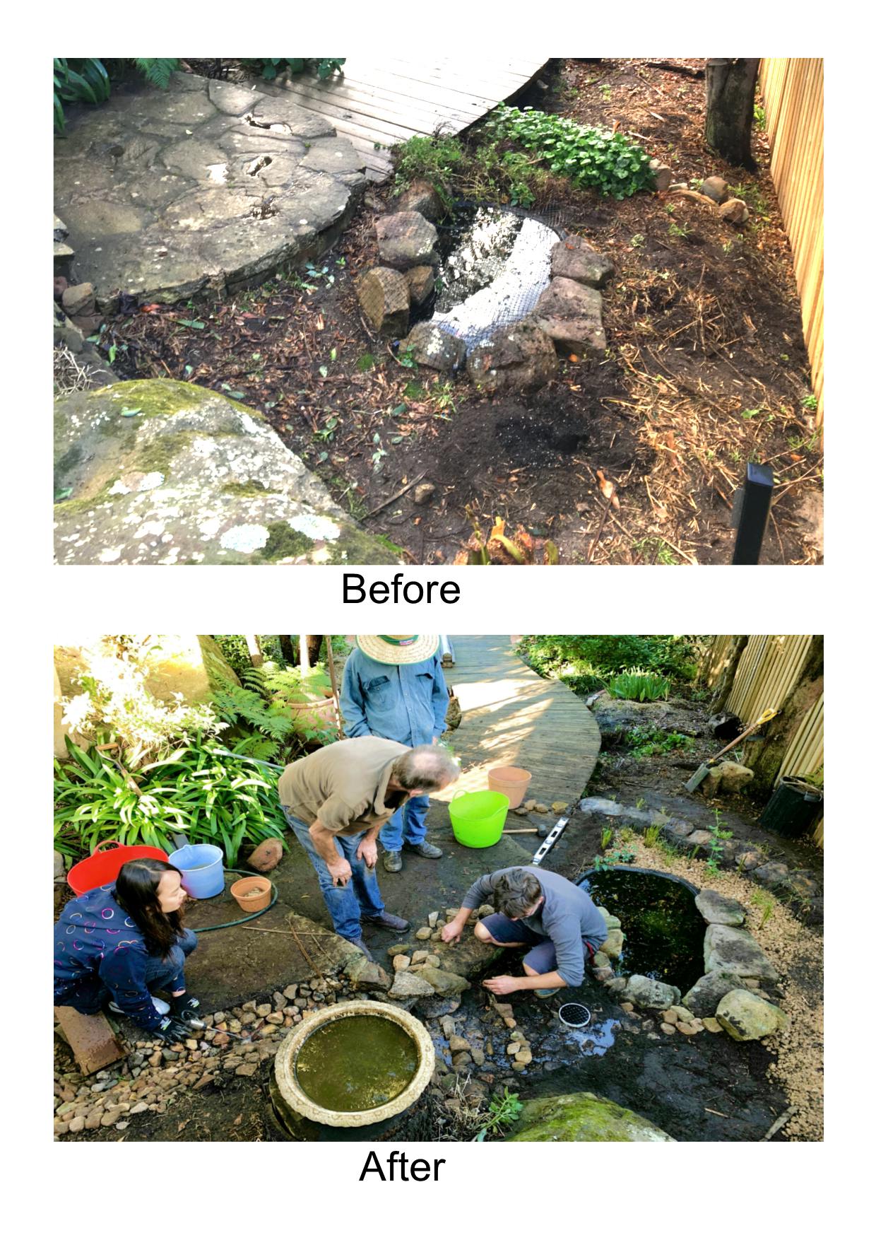 Photo Gallery | Water sensitive urban design webinar | Your Say Inner West