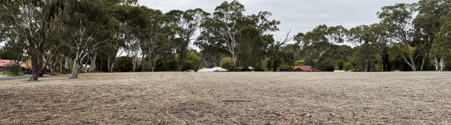 Feedback on Amendment to Parks Community Land Management Plan | Your ...