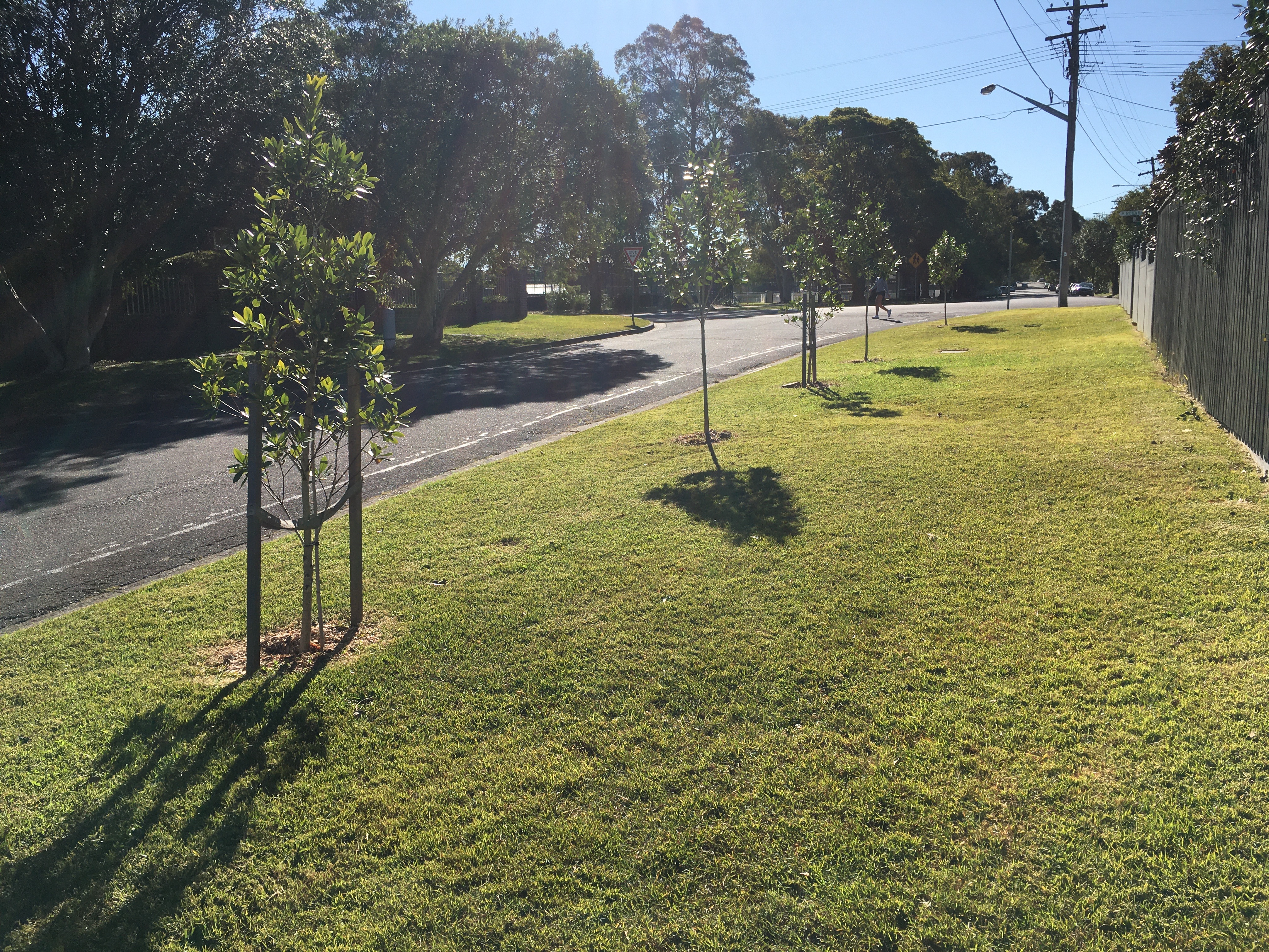 Submissions - Draft Landscaping, street trees and tree preservation ...