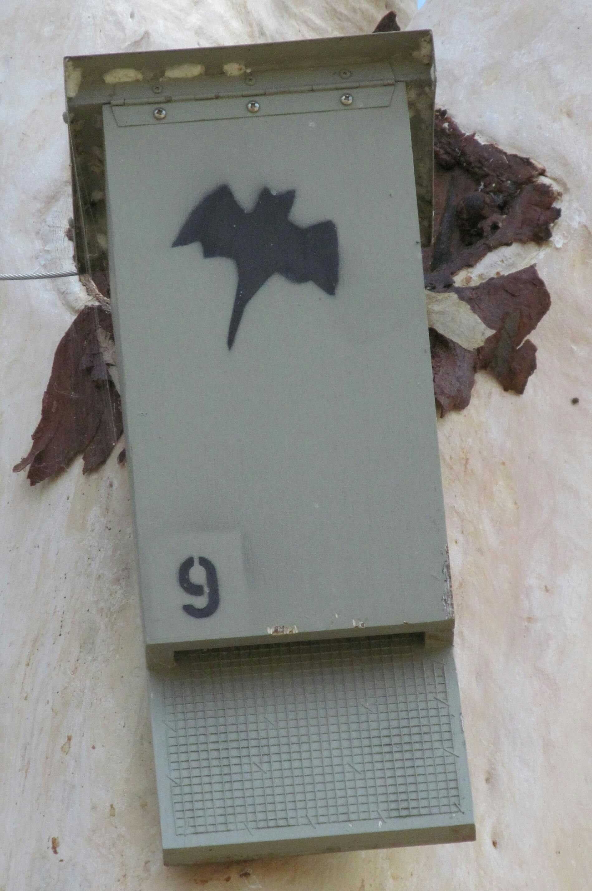 Microbat Boxes | Engage Kalamunda