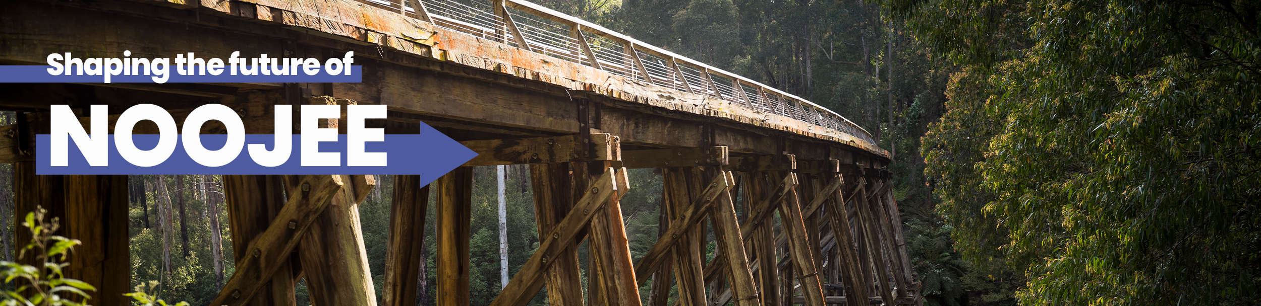 Shaping the future of Noojee | Baw Baw Connect