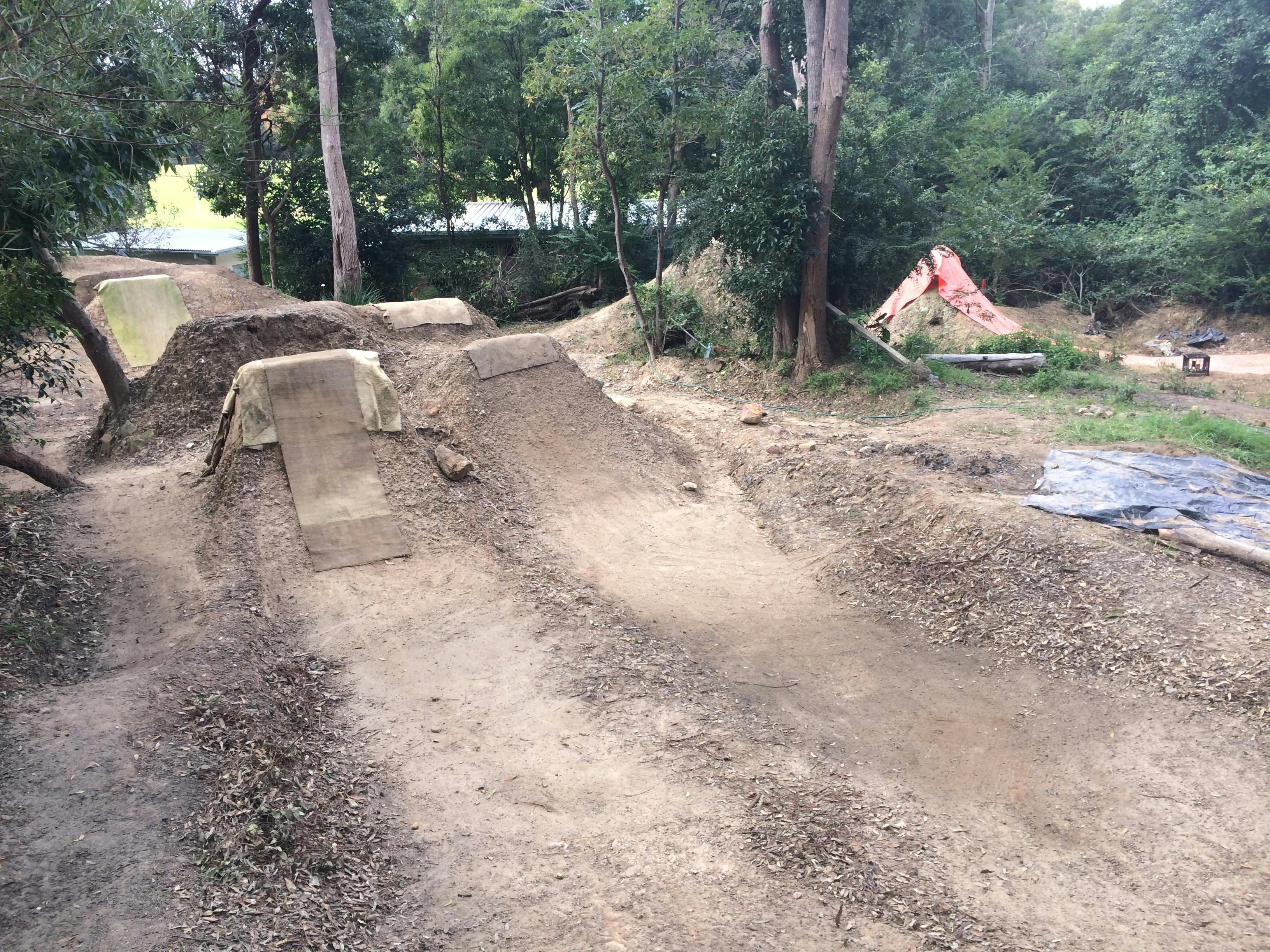 Castle Cove Park BMX Track Safety Improvements | Have Your Say Willoughby