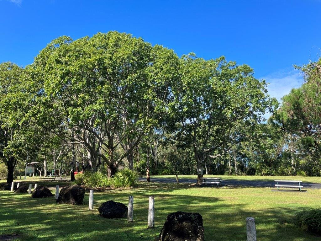 Bicentennial Park Master Plan | Your Say Ballina