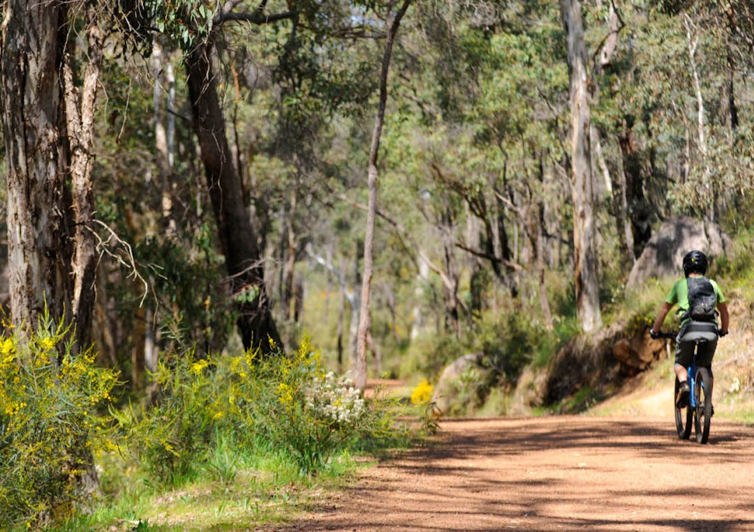 Zig Zag Scenic Drive | Engage Kalamunda