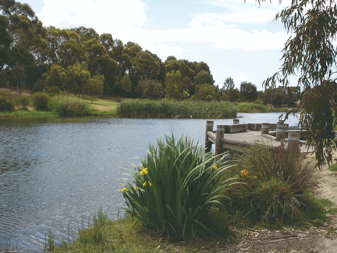 All Projects | Your Say West Torrens