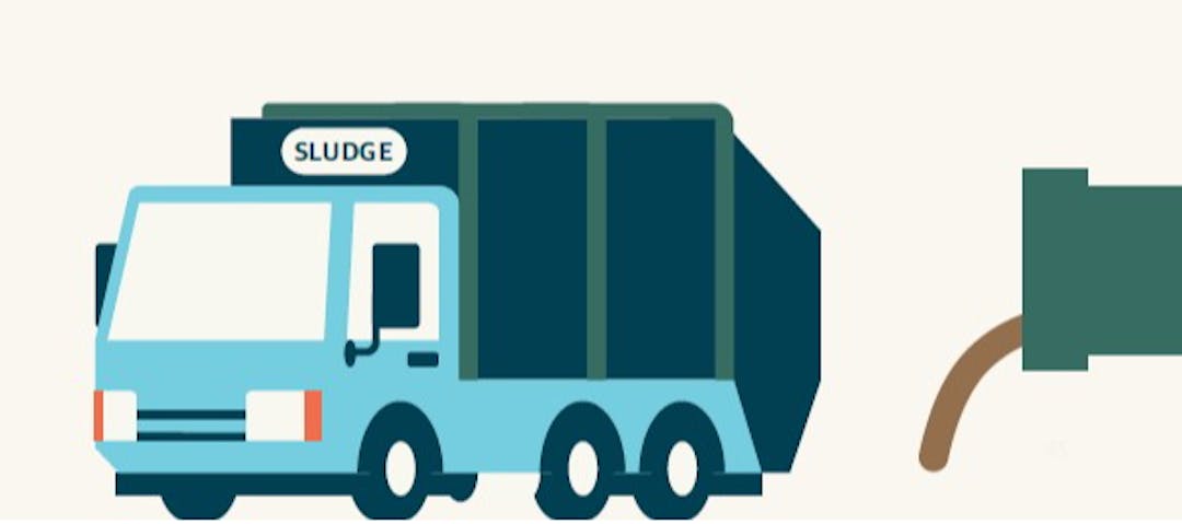 Decision 7 - A solution for reducing sewage sludge and waste | Let's ...