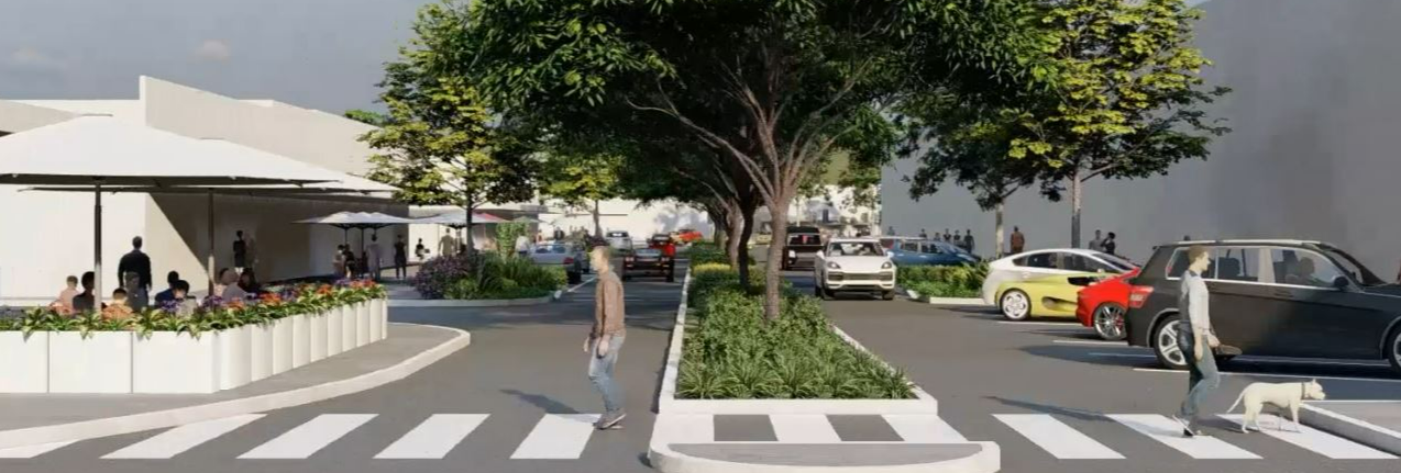 DRAFT Moonee Street and Park Avenue Reconfiguration Plan - Survey ...