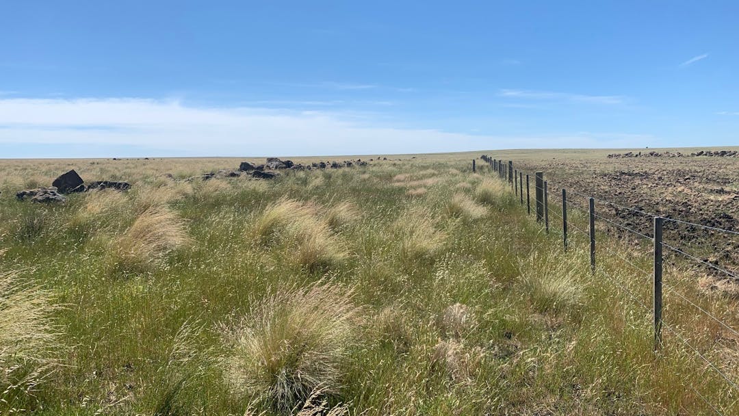 Tall Tree Wind Farm | Community Hub