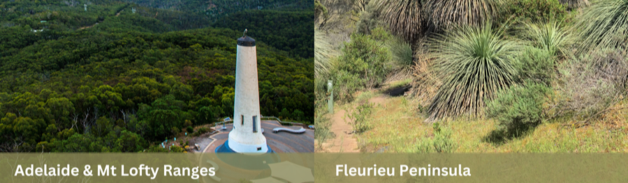 NPWS fire management plan reviews for the Mount Lofty Ranges and ...