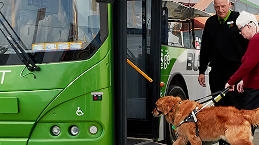Future bus services for the Waikato region | Your Voice Matters Waikato