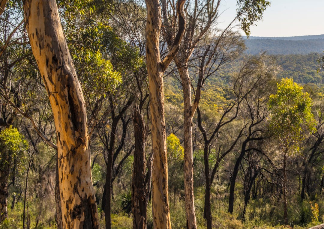 Draft Mental Health and Wellbeing Bill | YourSAy