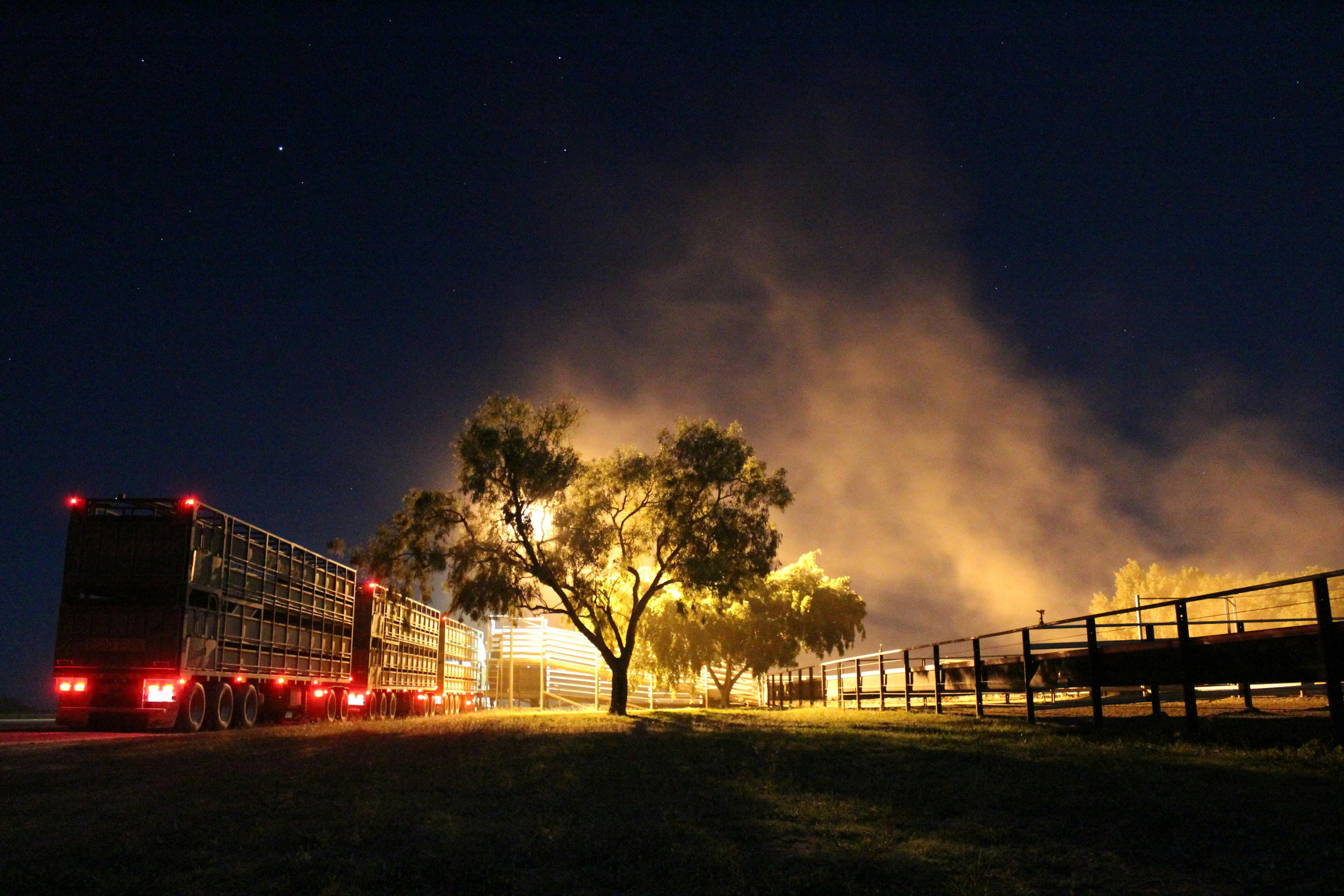Photo Gallery | Dalrymple Saleyards Master Plan | Have Your Say ...