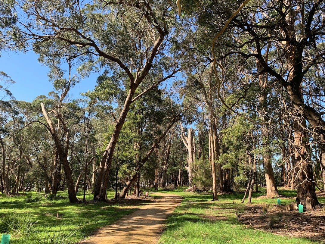 Mount Burr Community Vision | Engage Wattle Range