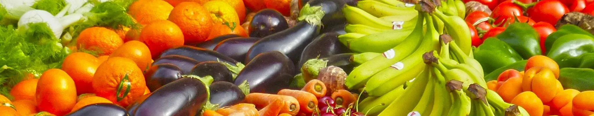Food & Our Future - Ensuring healthy, affordable food for all South ...