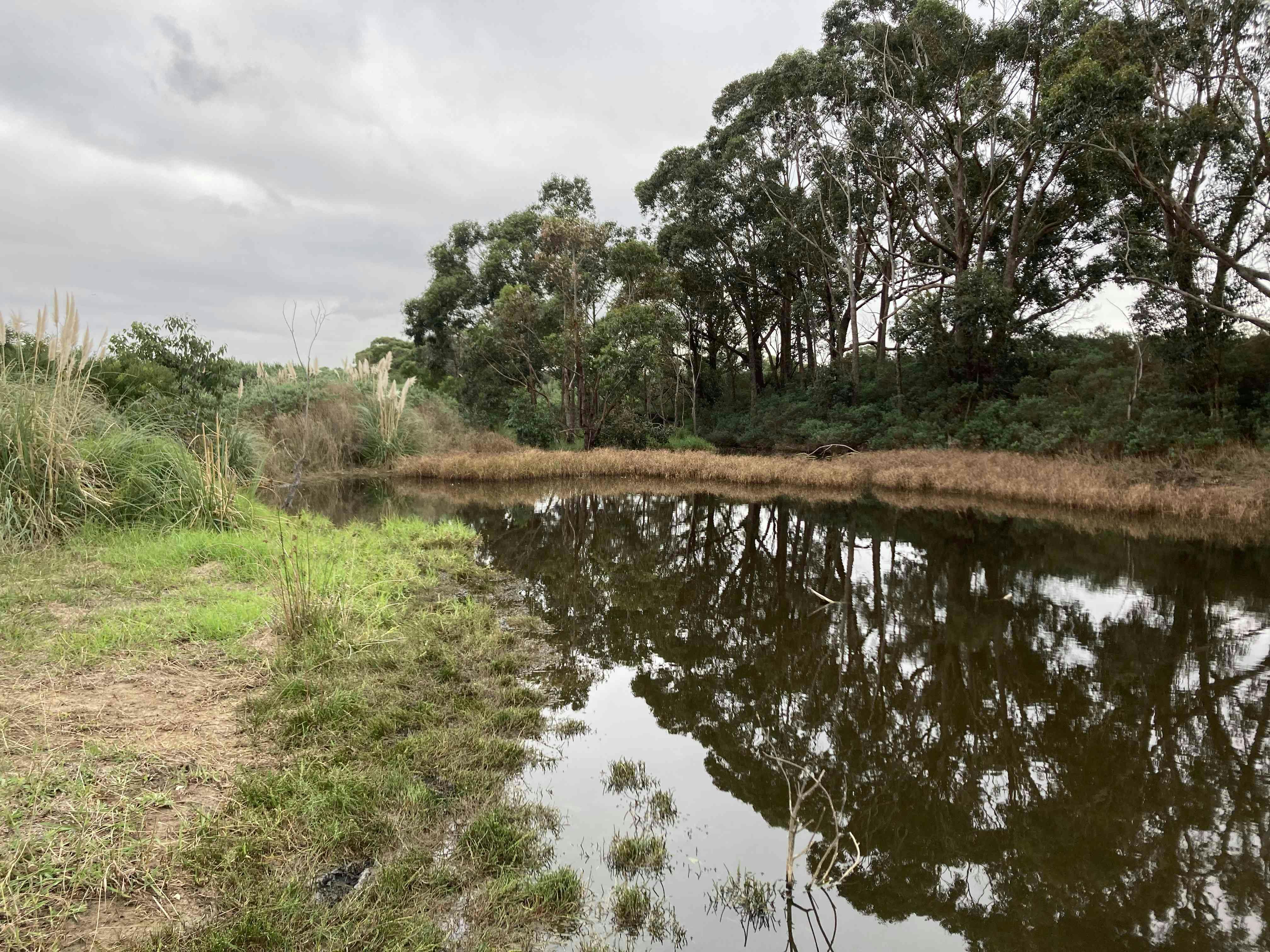 Spring Road Reserve Dingley Village - Draft Masterplan | Your Kingston ...