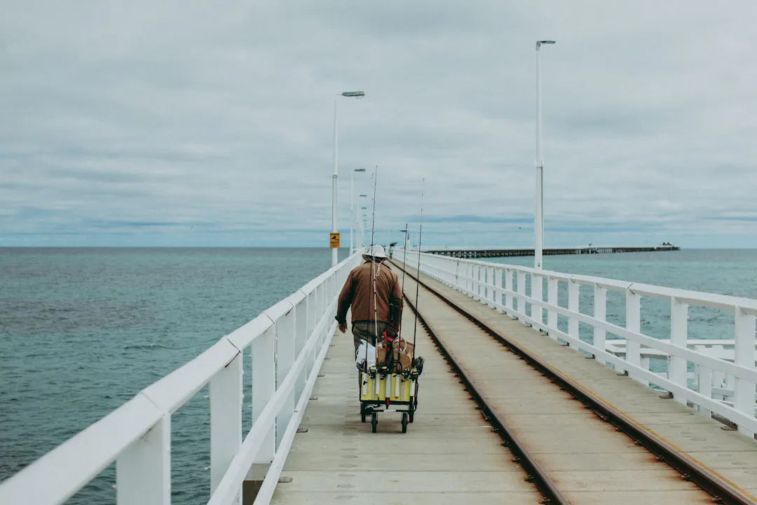 Shark Fishing Off Busselton Jetty Consultation | Your Say Busselton
