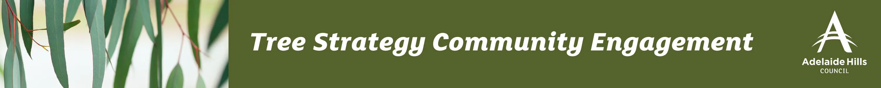 Tree Strategy Community Engagement | Community Engagement Hub