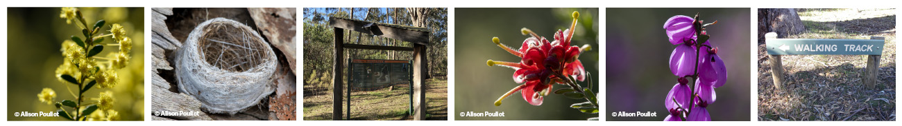 Make a Submission on the Draft Management Plan | Engaging Mitchell