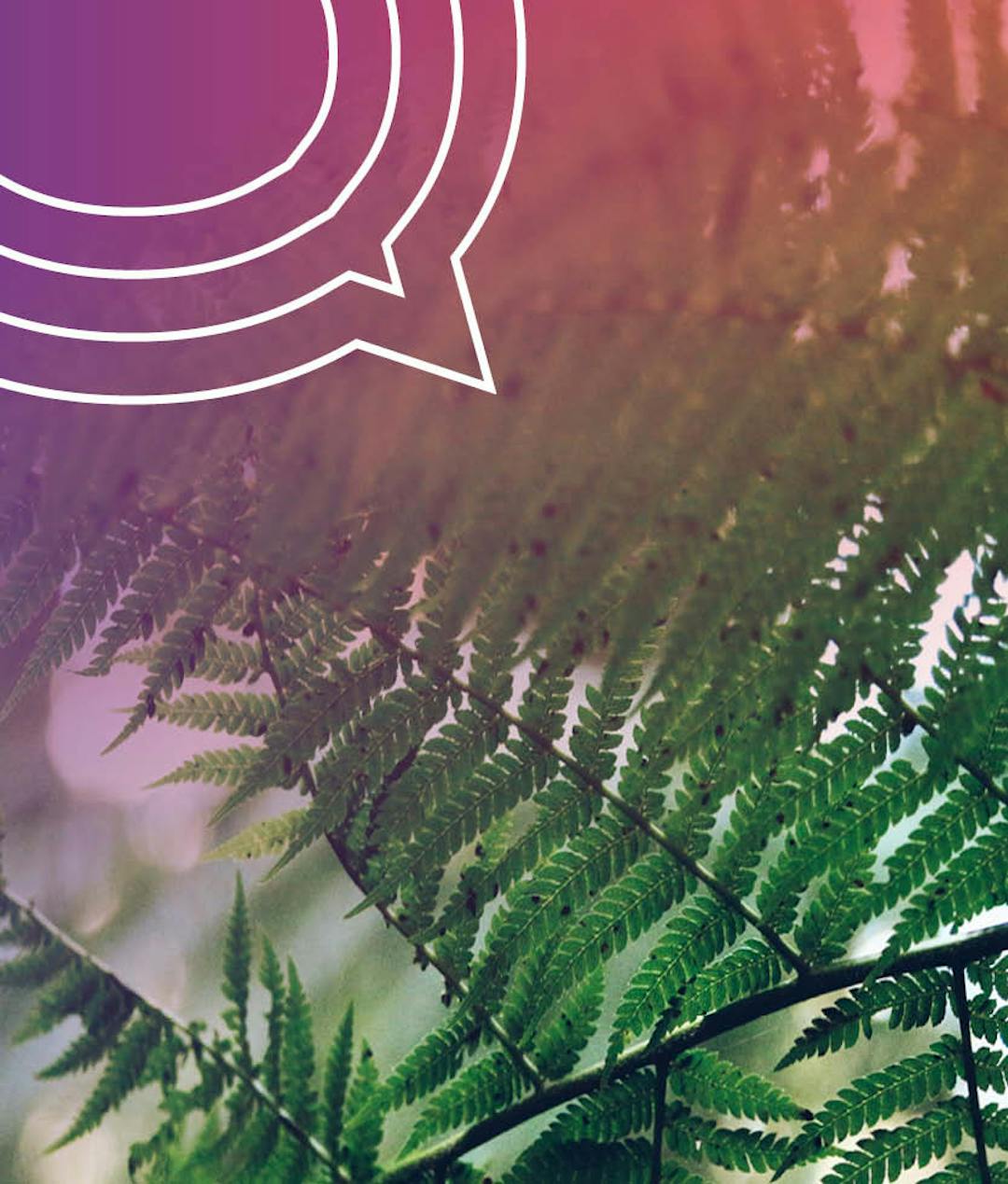 Representation Review | Connecting Ōtorohanga