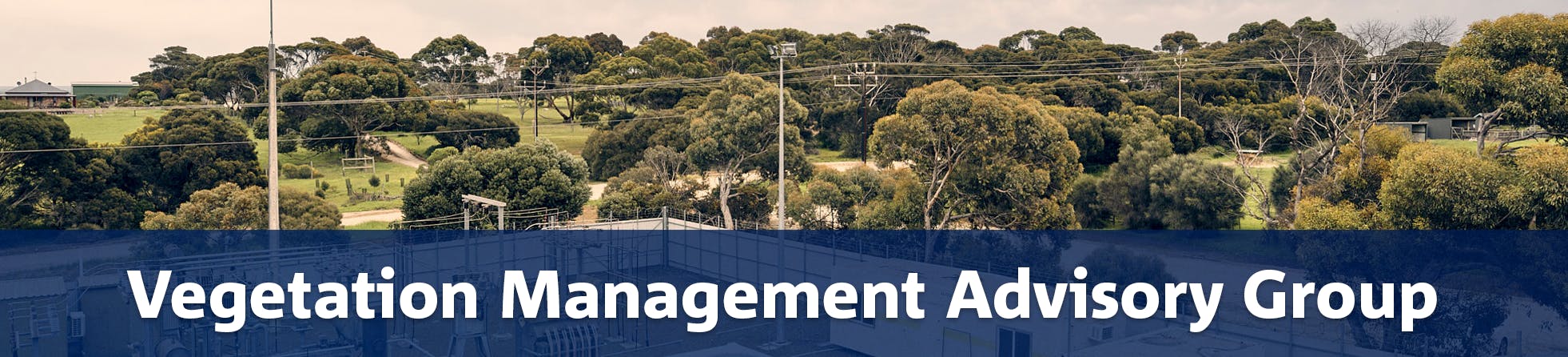 Vegetation Management Advisory Group | Talking Power
