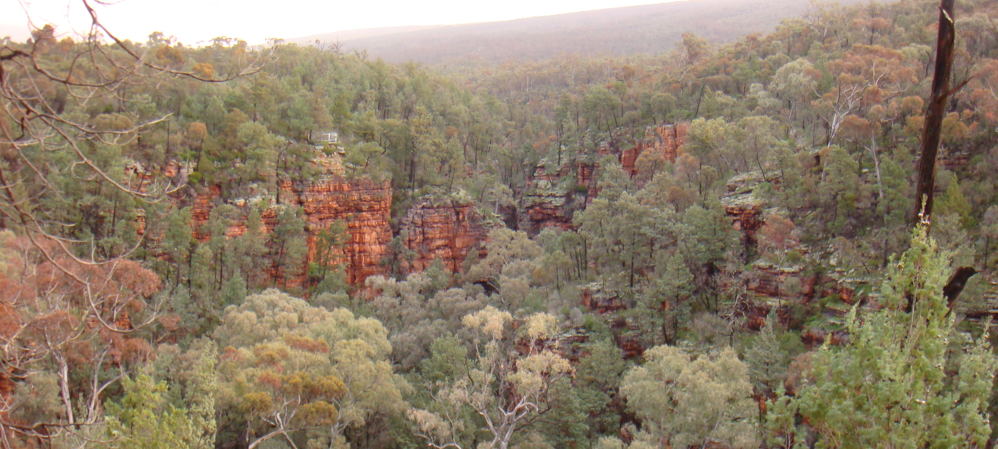 Draft Native Vegetation Act amendments survey | YourSAy