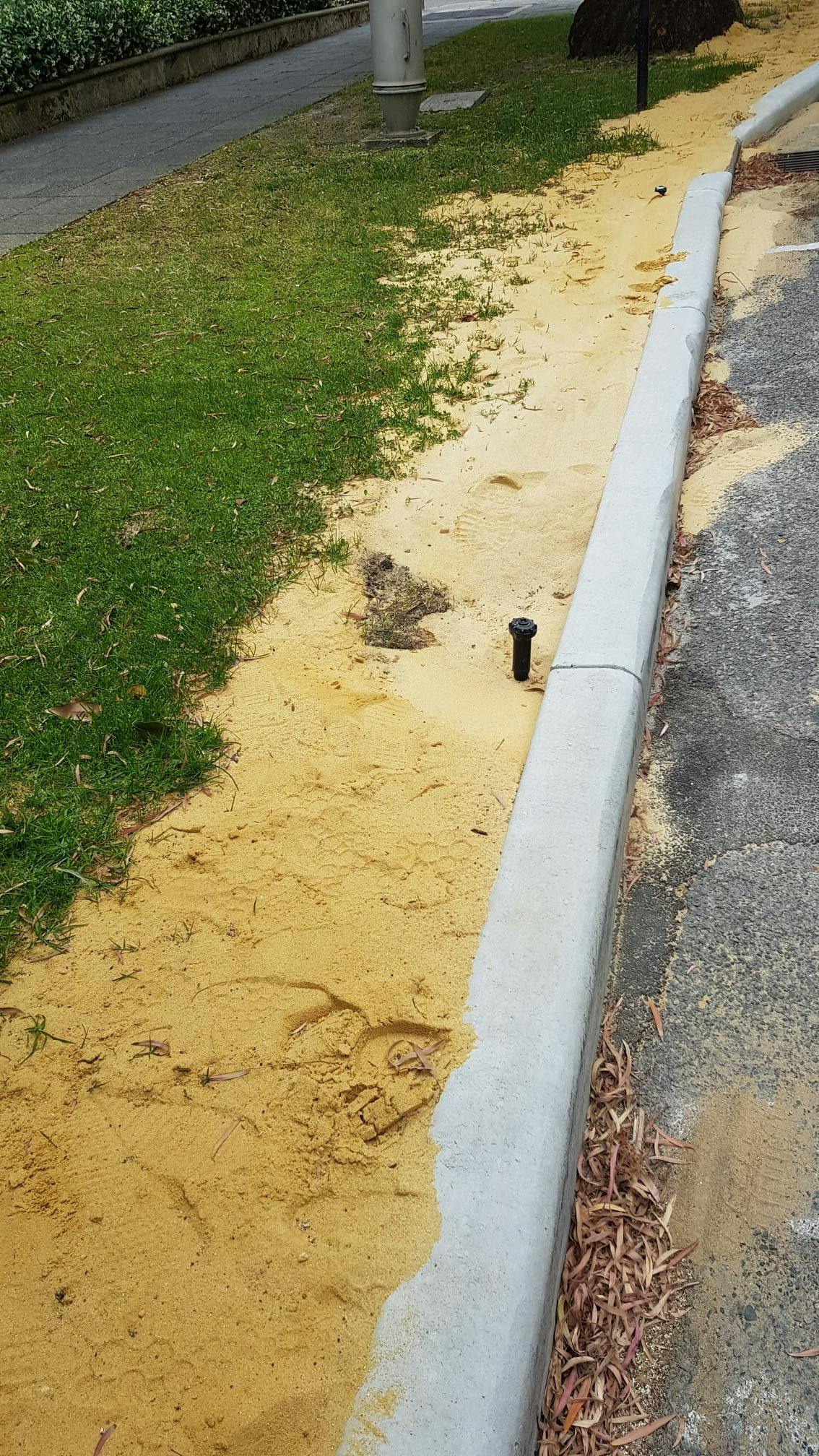 Photos | Path, Crossover & Kerb Renewal Program 2022-2023 | Engage Perth