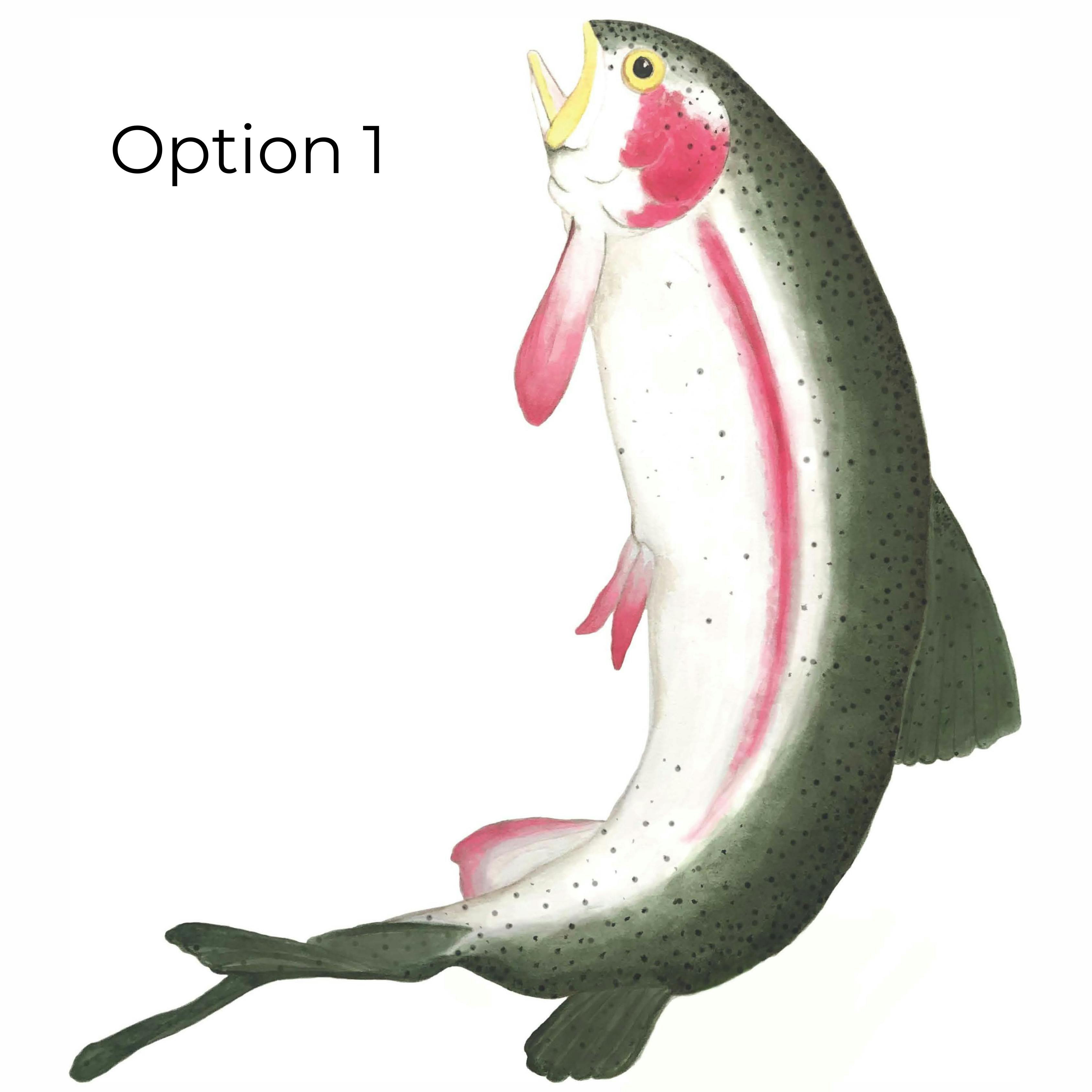 Adaminaby Trout Final Paint Design | Your Say Snowy Monaro