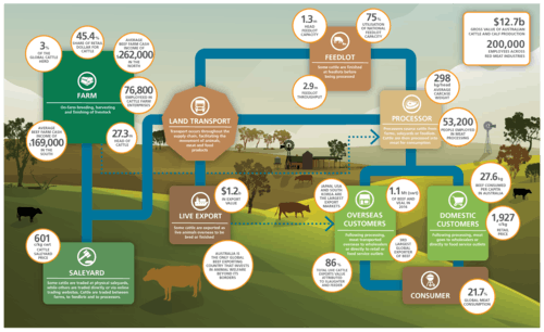 The beef industry | Australian Beef Sustainability Framework