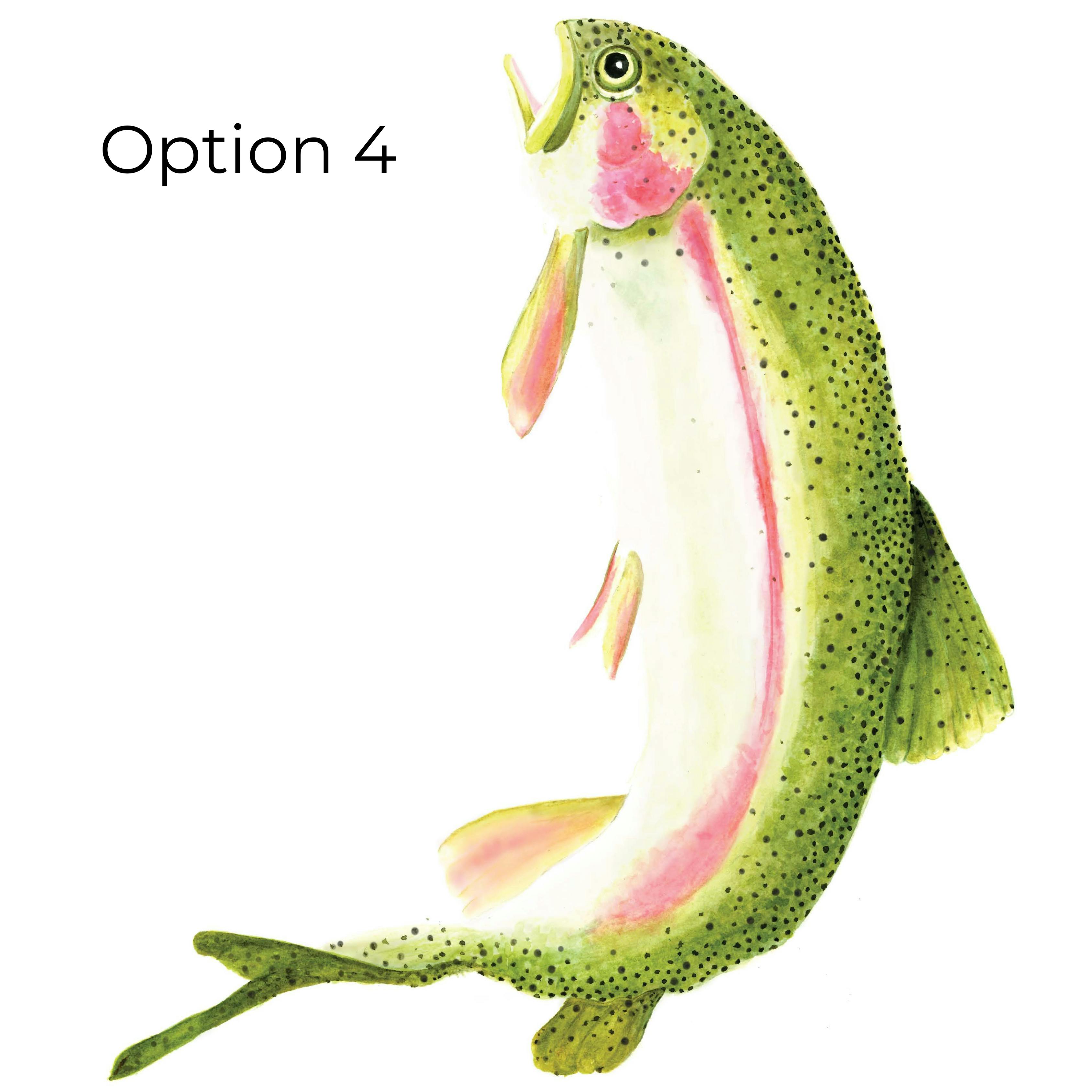 Adaminaby Trout Final Paint Design | Your Say Snowy Monaro