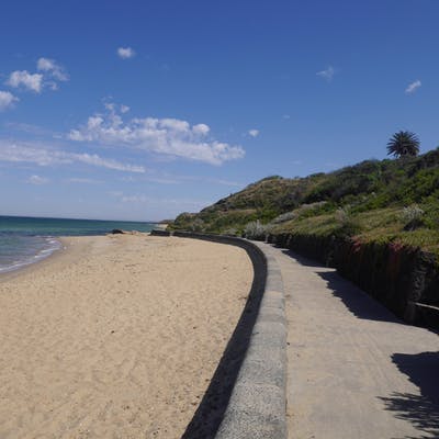 Sandringham Beach and Gardens Masterplan | Have Your Say | Bayside City ...